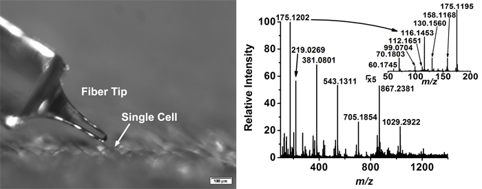 Vertes Research Group - Single cell analysis by mass spectrometry